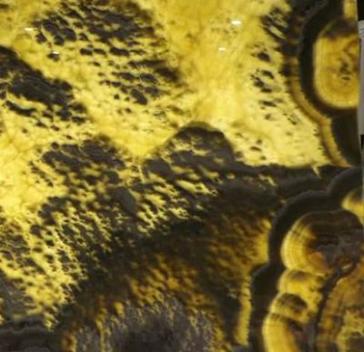 Bubble Onyx - Onyx | Renktaş Mermer